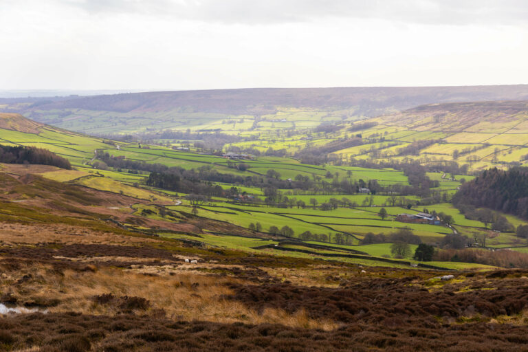 Top 10 spring scenes in the UK according to Brits – including Kew ...